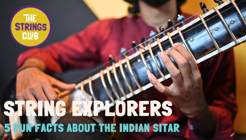 Sitar Fun Facts for Kids: Discover String Instruments Around the World ...